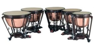 Les différents types de percussions : Guide 2024